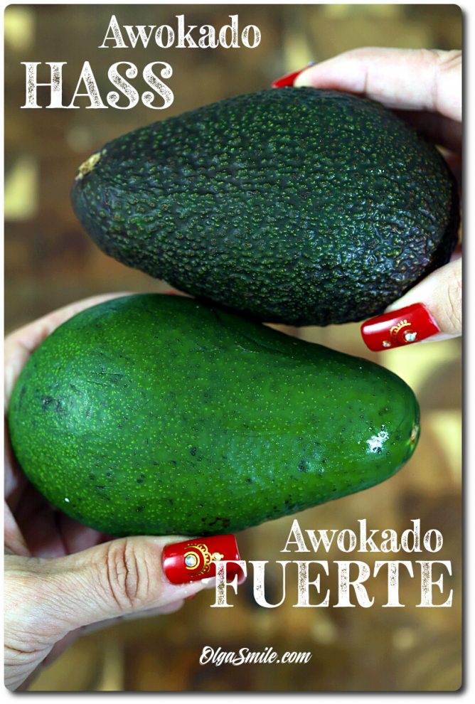 AWOKADO HASS przepis Olga Smile