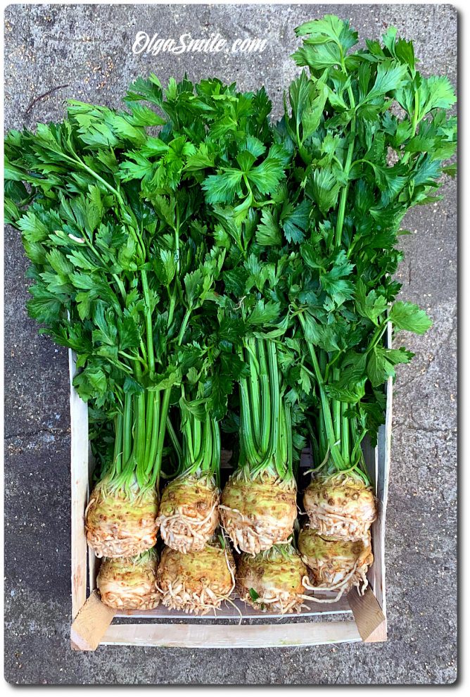 SELER KORZENIOWY przepis Olga Smile